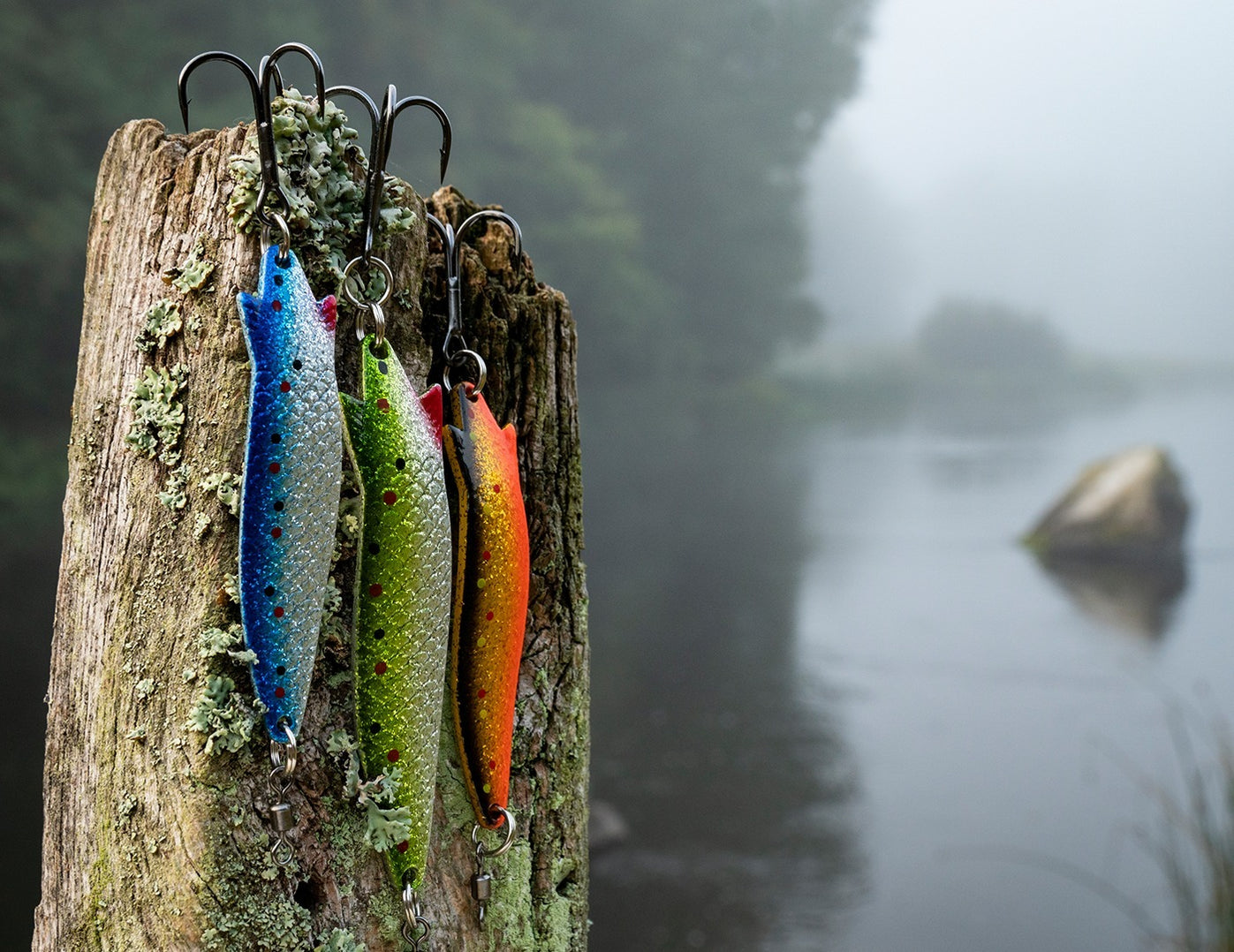 Lines & Lures